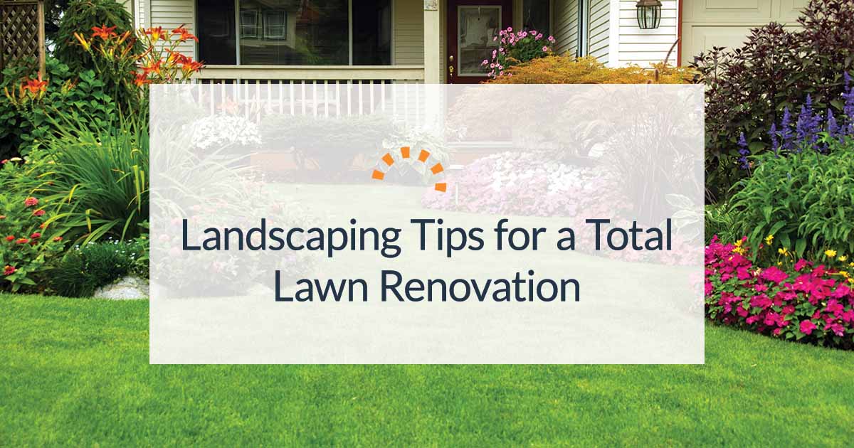 How to Redo Your Landscaping From Scratch | Dumpsters.com