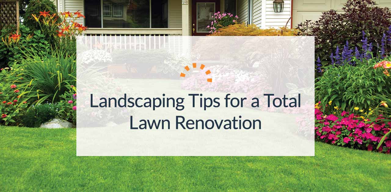How to Redo Your Landscaping From Scratch | Dumpsters.com